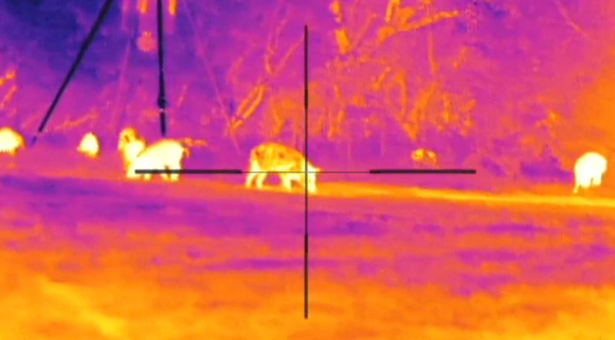 Night Vision vs Thermal Optics | Best Scopes from AGM, ATN, Trijicon ...